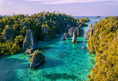 Review of Raja Ampat ~ West Papua, Indonesia | 2021 Edition